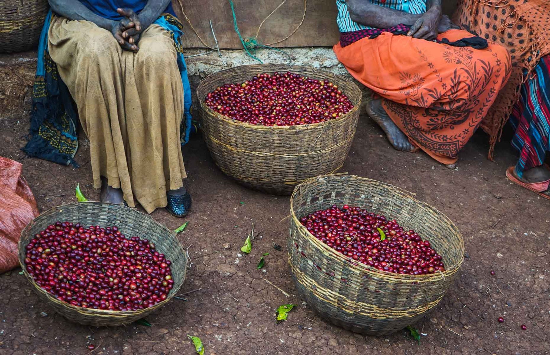 Products – Redband Coffee Company