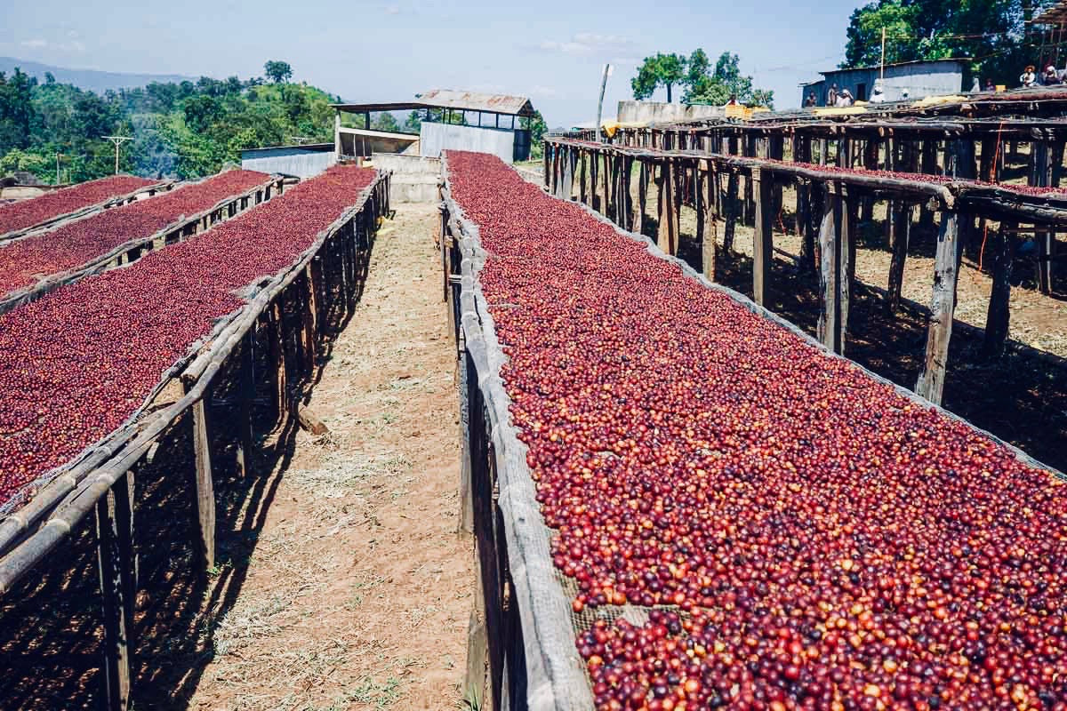 Products – Redband Coffee Company